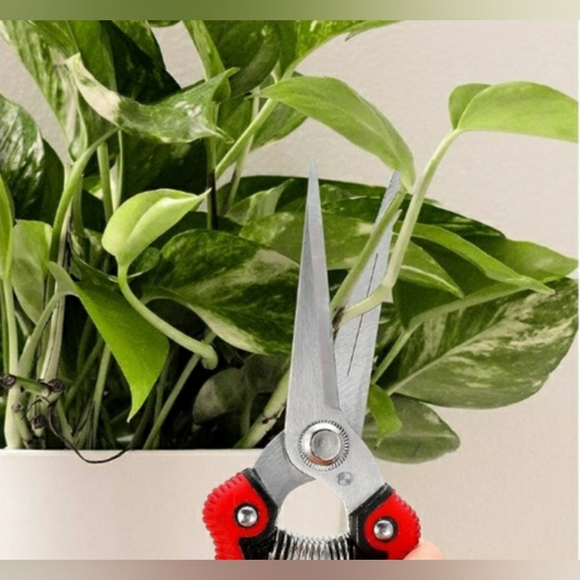 Other | Red High Quality Garden Clippers Houseplant Outdoor New Garden ...